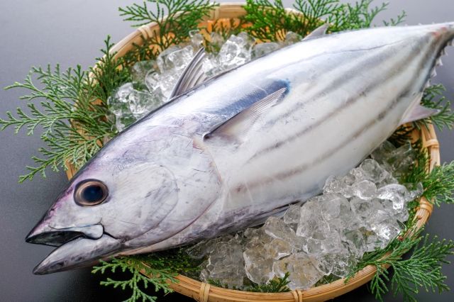 Ikura Fish In Malayalam